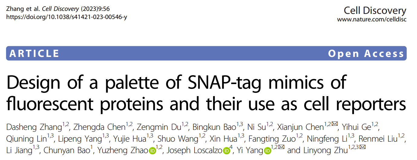 【创新前沿】Cell Discovery在线发表我校活细胞蛋白质标记与成像研究重要进展
