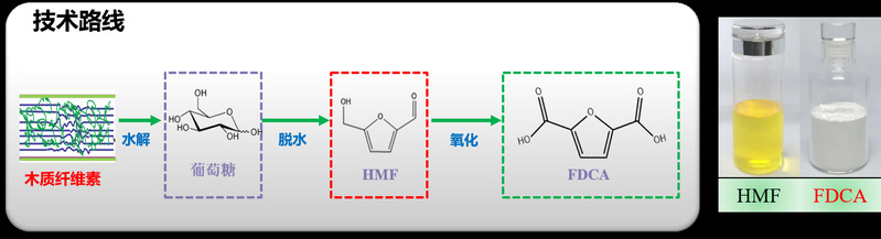 【工博会专递】华理这项技术让秸秆变废为宝
